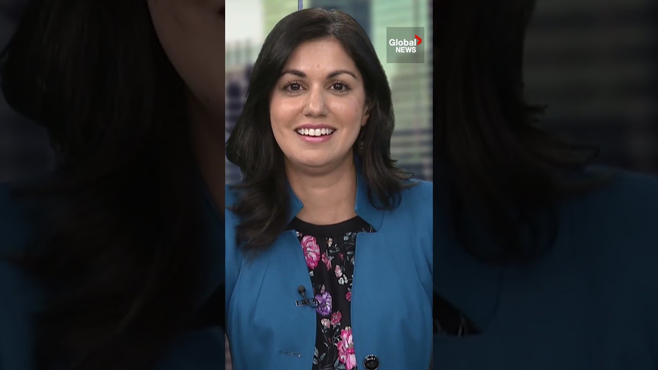 Global News anchor interrupted by pesky fly - The Global Herald