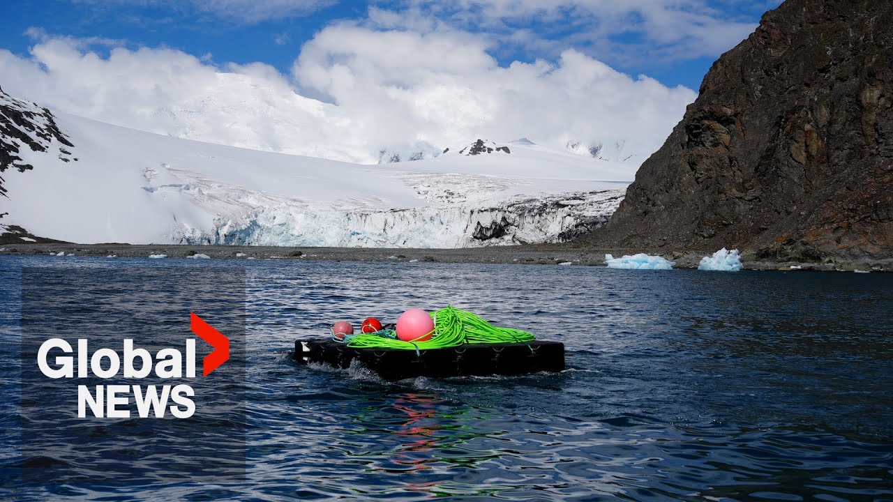 What's down there? Canadian university deploys Antarctic Ocean ...