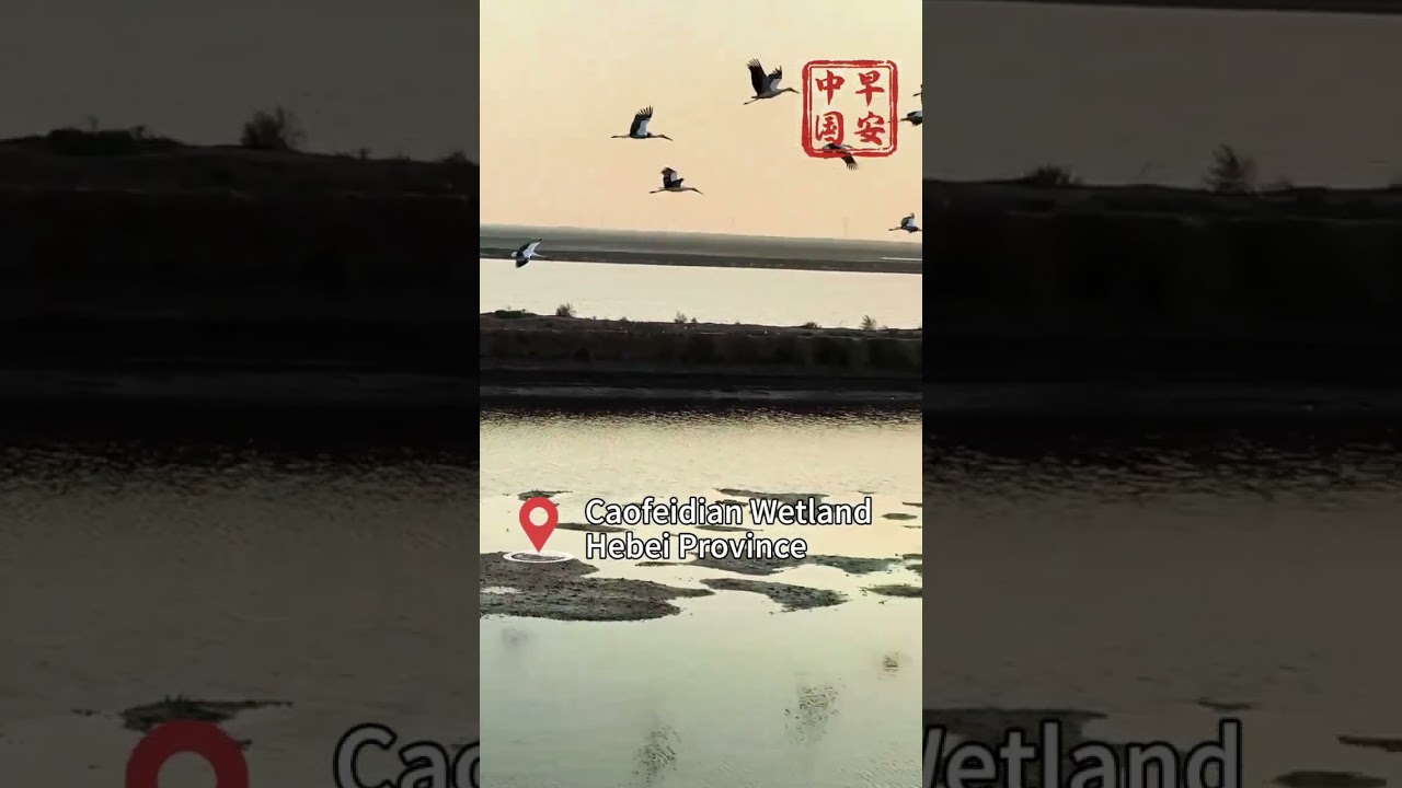 View of Caofeidian Wetland - The Global Herald