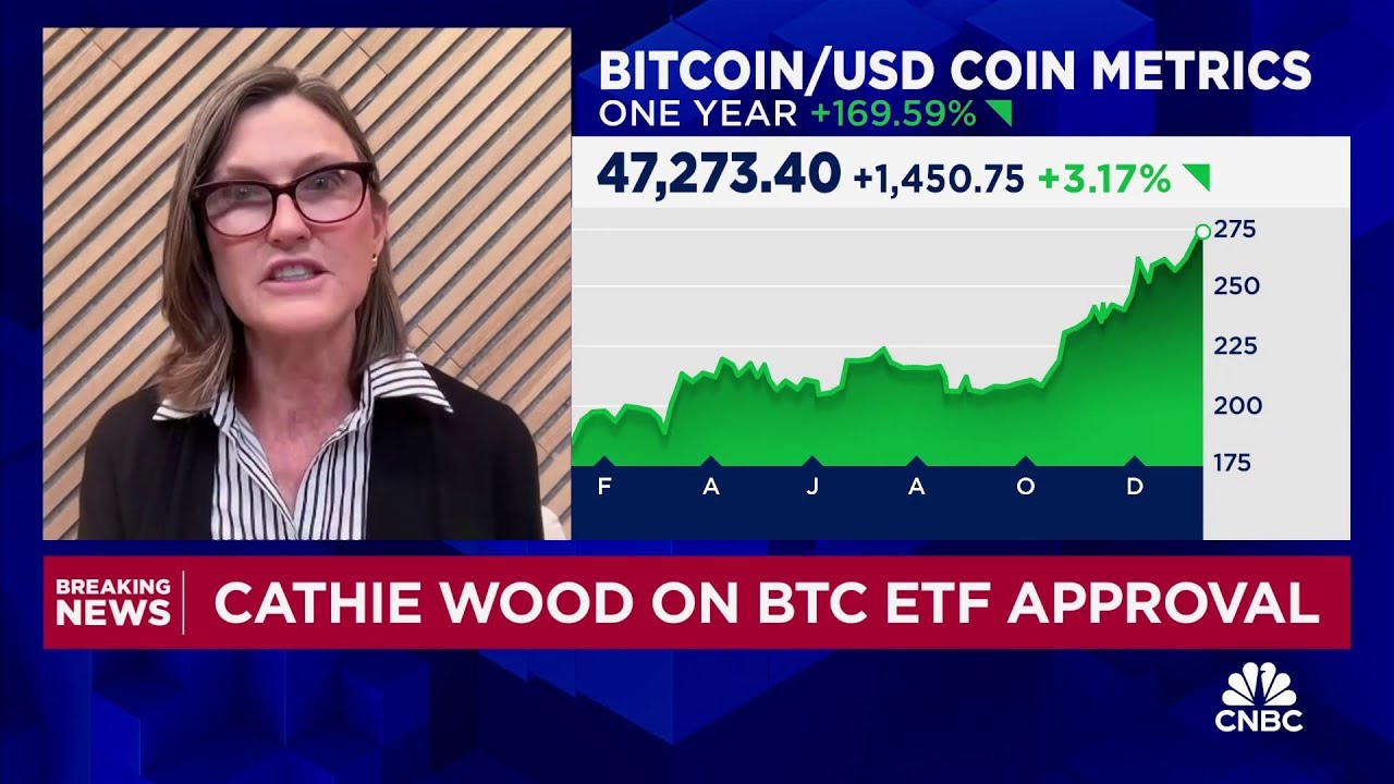 ARK Invest CEO Cathie Wood: Our base case for bitcoin is $600,000, bull ...