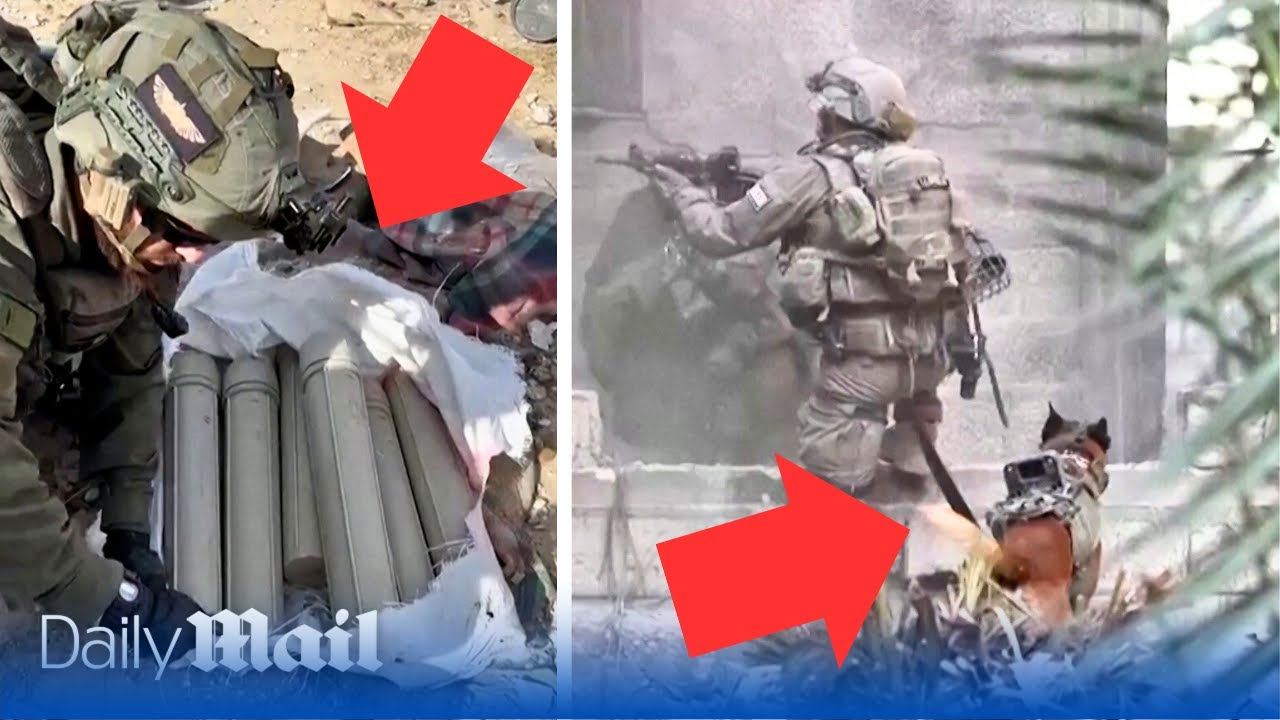 Brave IDF war dog finds Hamas weapons as the war reaches 100 days since ...