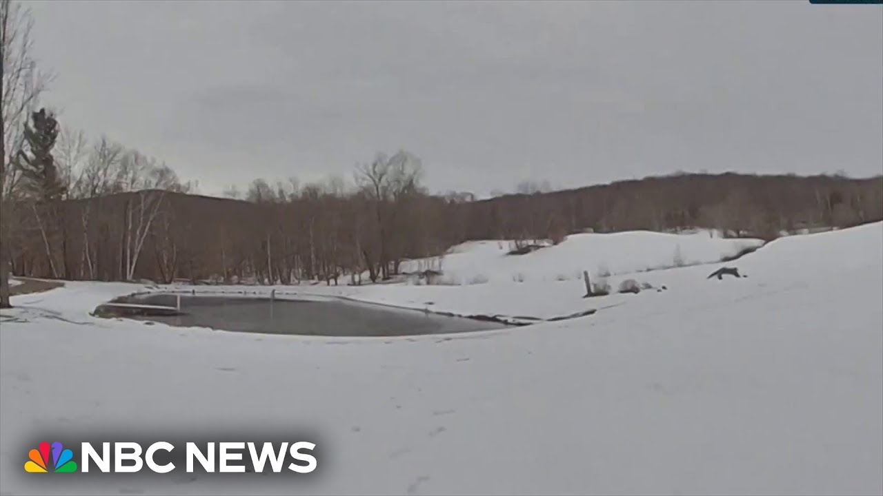Roseland Portrait Project celebrates people from Chicago south side ...