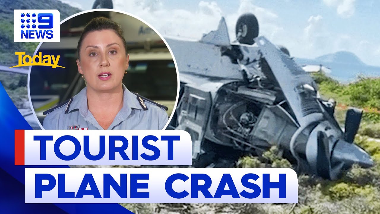 Plane crashes on remote island after mechanical malfunction | 9 News ...