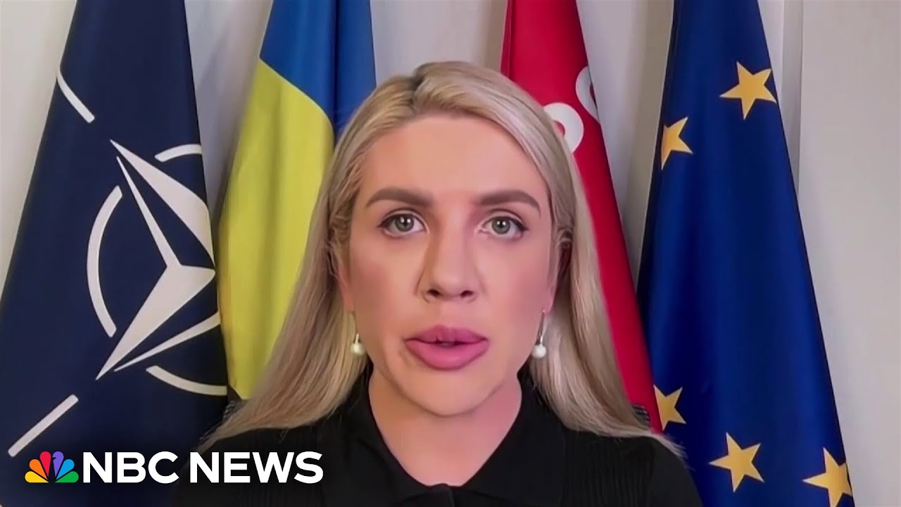 U.S. aid to Ukraine being stalled by domestic politics is ‘disturbing ...