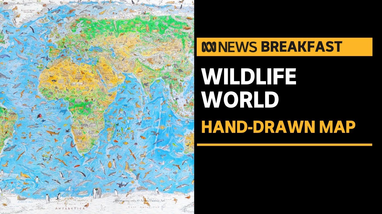 Artist cartographer creates 'wild world' map of 1,642 species | ABC ...
