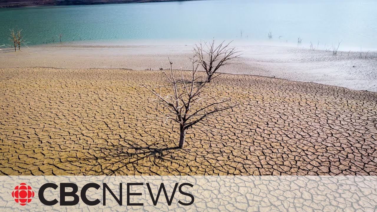 2023 was hottest year on record, new data confirms - The Global Herald