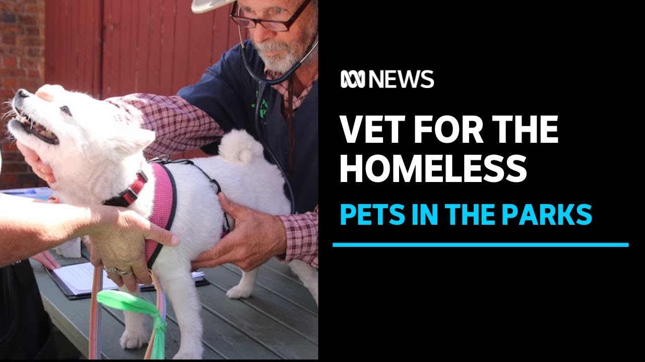 Record demand at free vet for homeless pet owners - The Global Herald