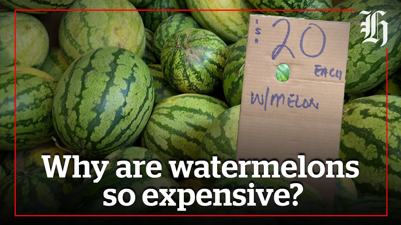 Why are watermelons so expensive? | nzherald.co.nz - The Global Herald