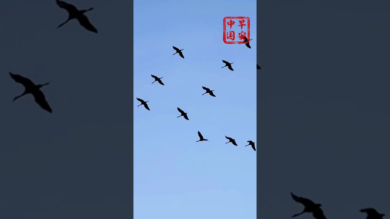 View of Hengshui Lake - The Global Herald