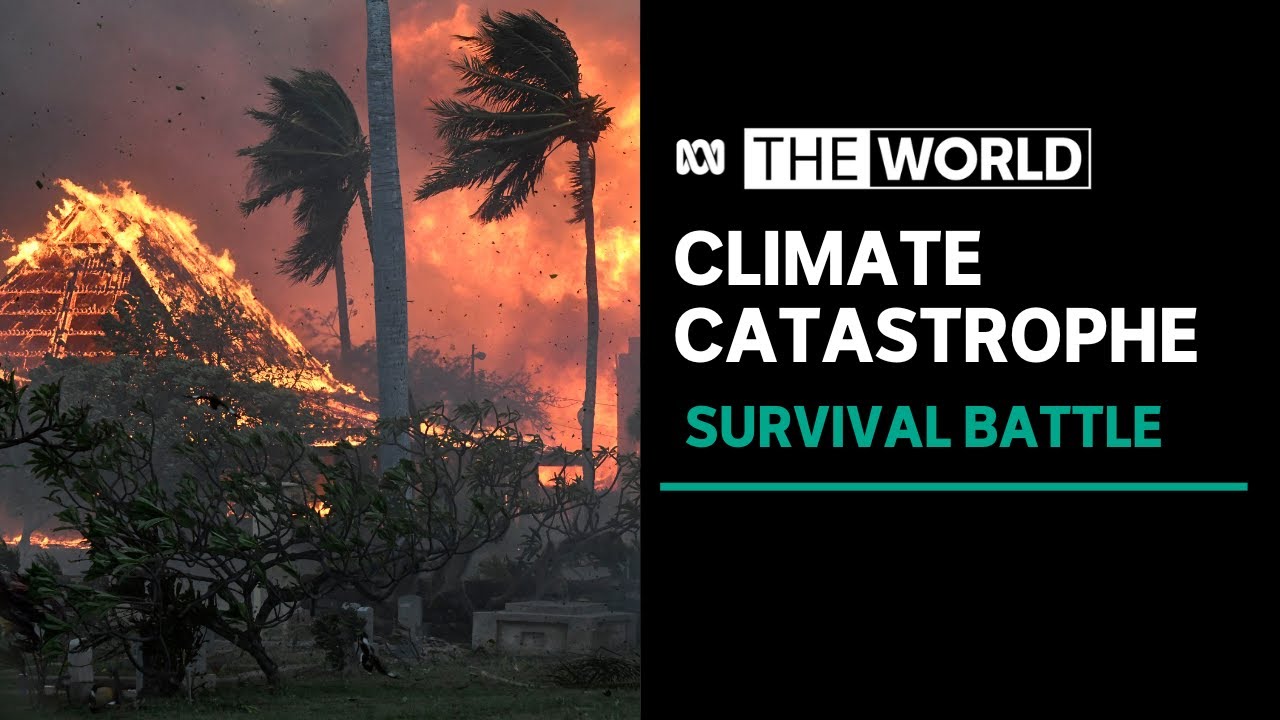 Floods, fires and natural disasters | The World in 2023 - The Global Herald